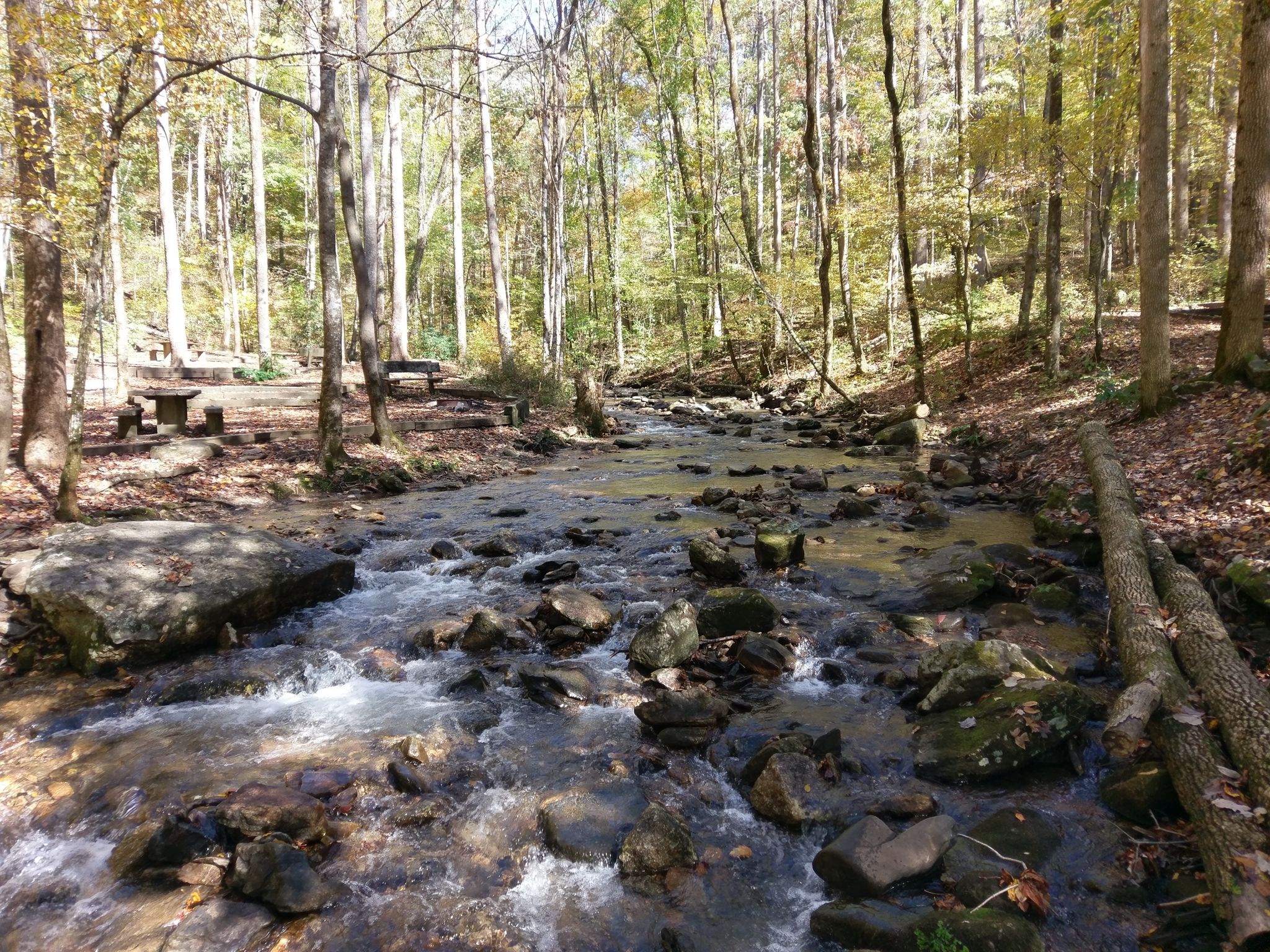 Andrews Cove Trail - Helen, Georgia