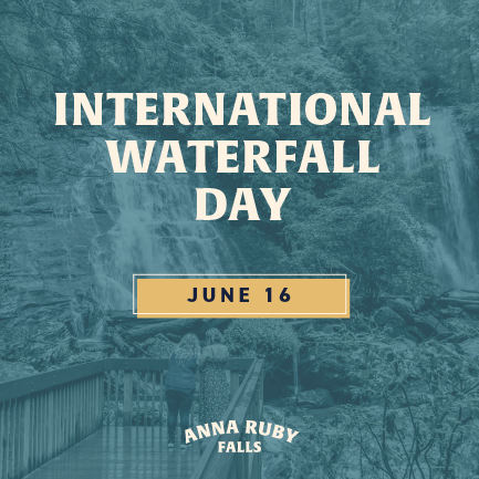 International Waterfall Day - Helen, Georgia